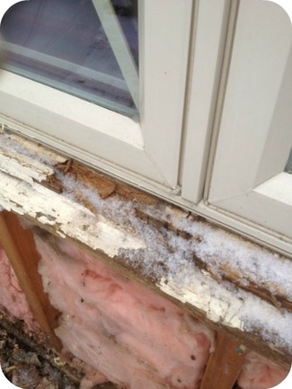 What Every Homeowner Should Know About Dry Rot